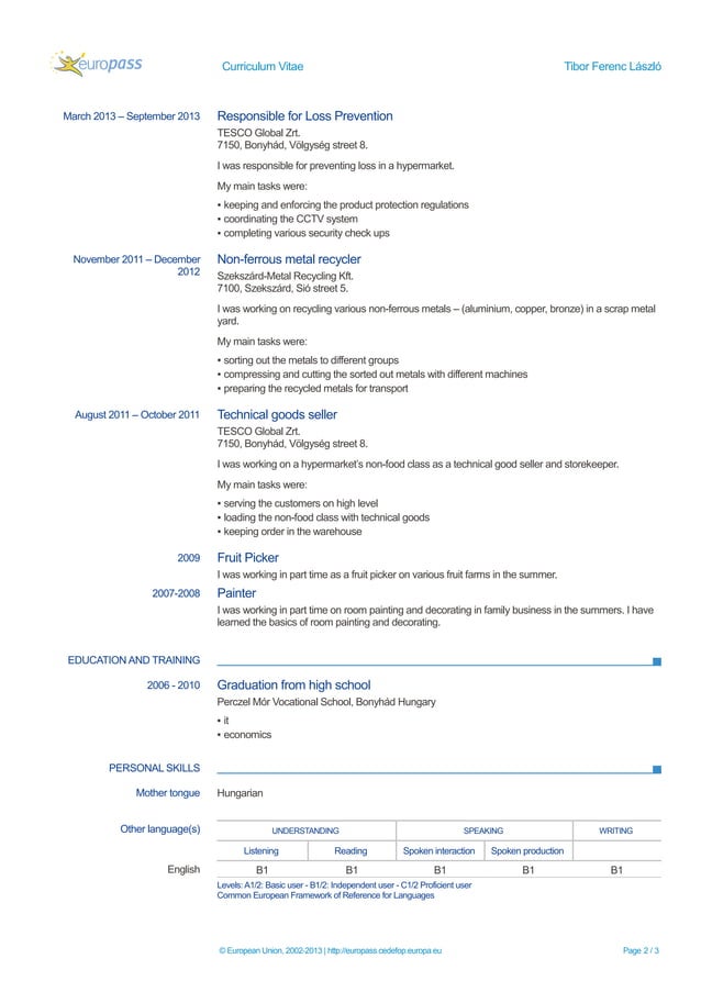 CV 2016 Tibor Ferenc Laszlo | PDF