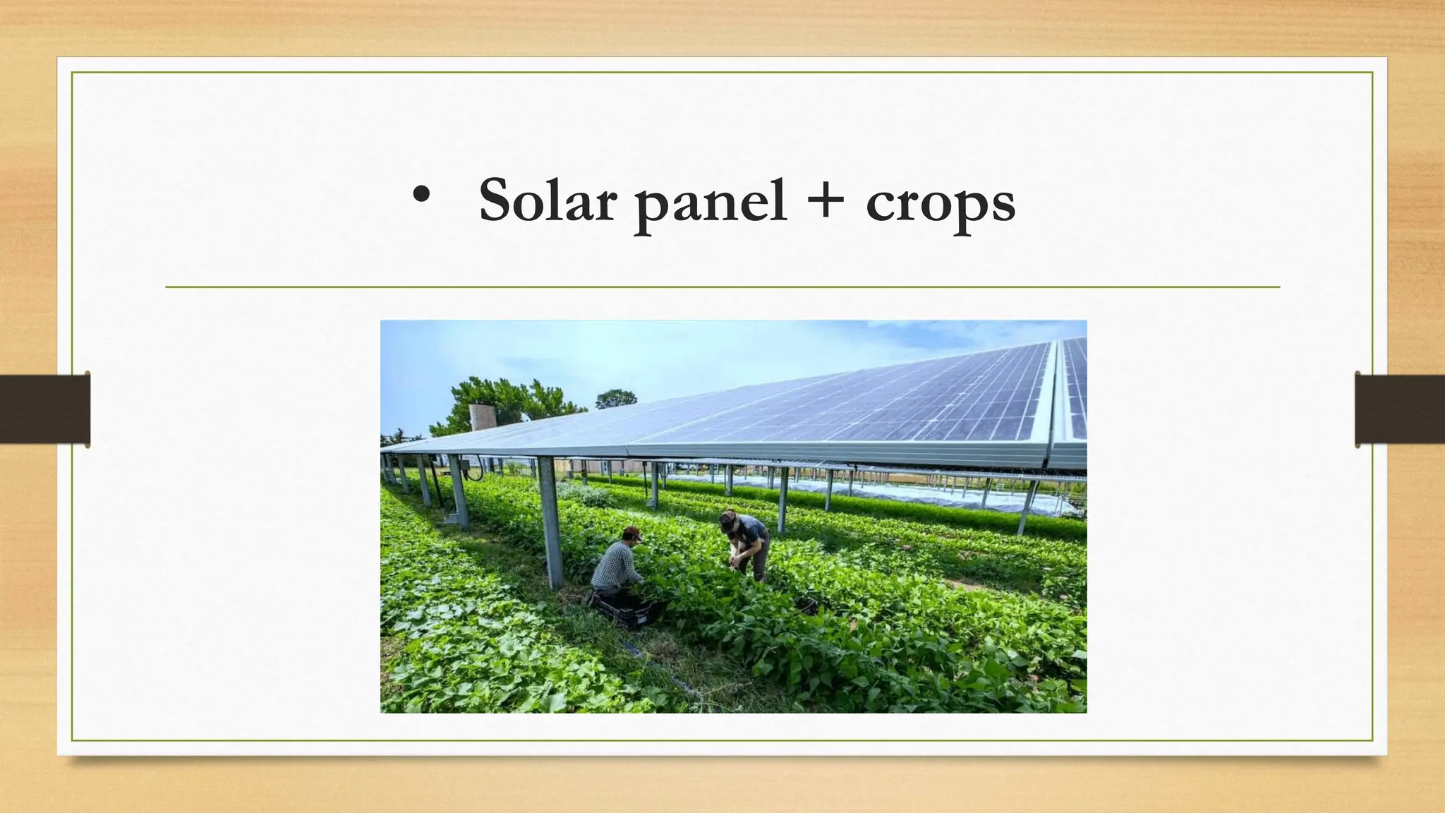 Ifs model for junagadh assignment .pptx