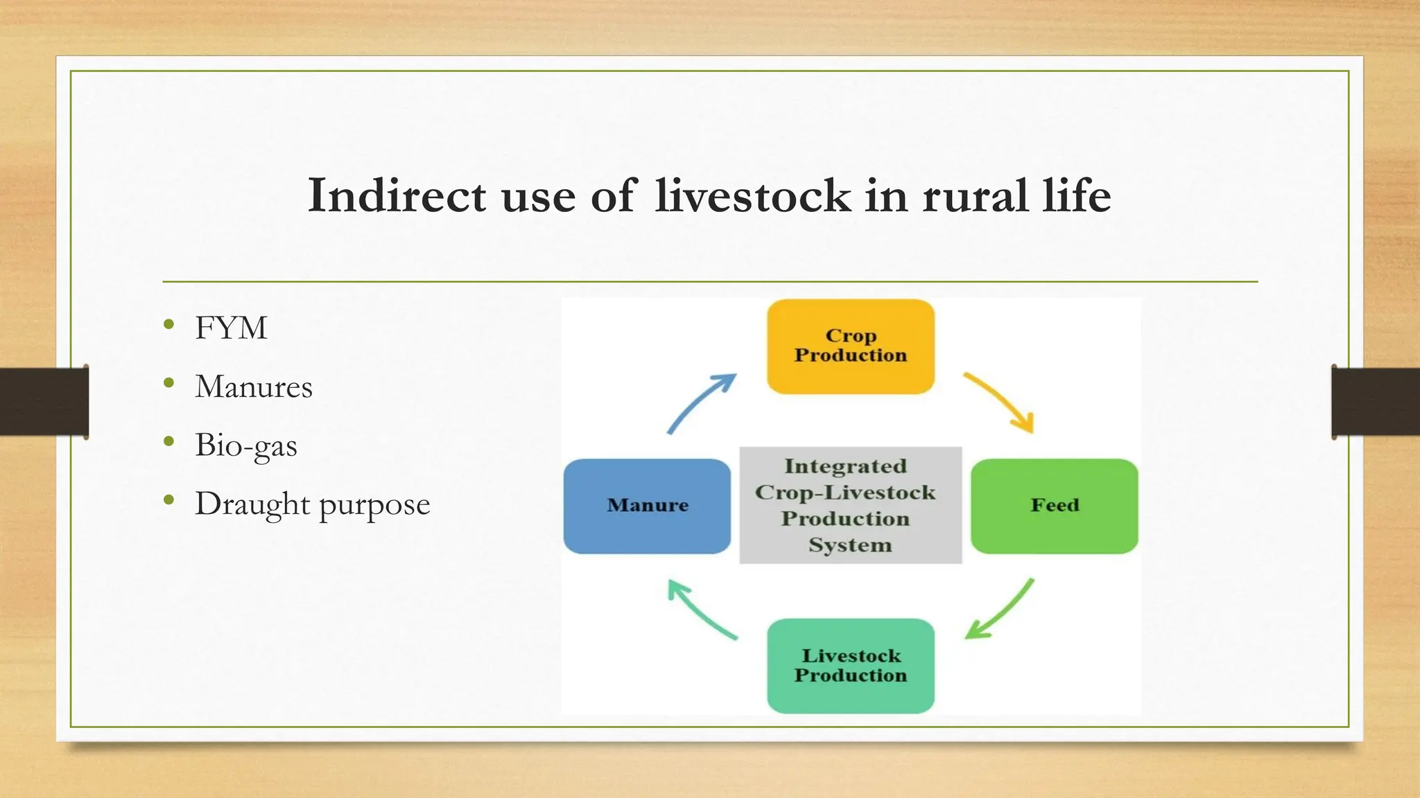 Ifs model for junagadh assignment .pptx