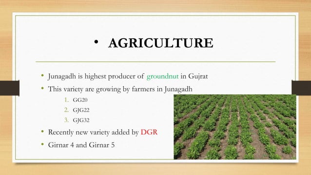 Ifs model for junagadh assignment .pptx