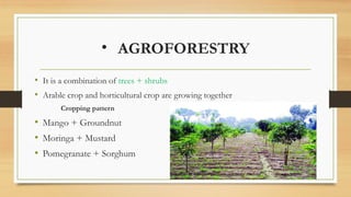 Ifs model for junagadh assignment .pptx