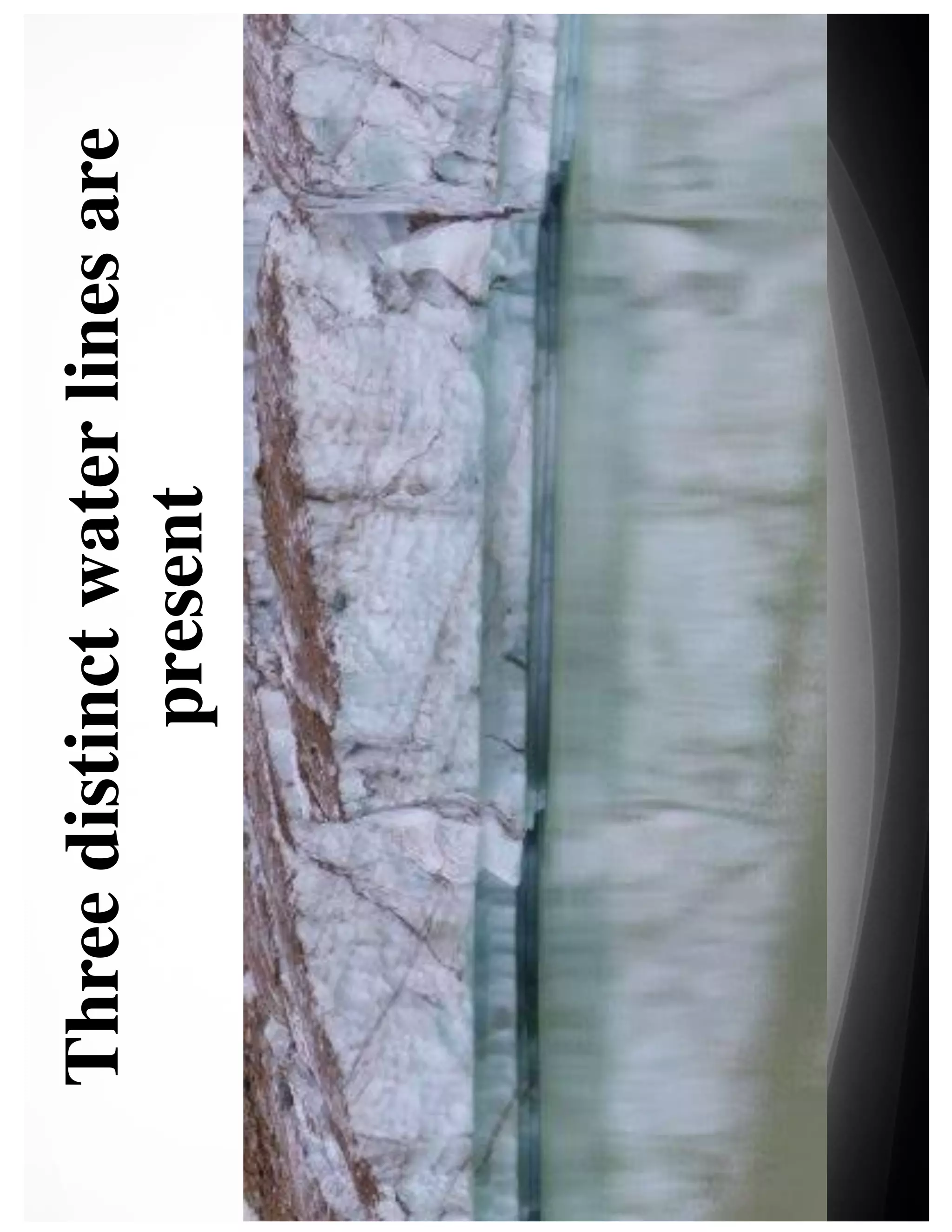 ACAG Presentation | PPT