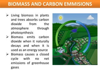 biomass energy | PPTX