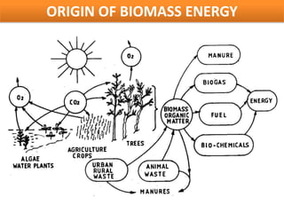 biomass energy | PPTX