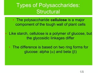 09_BioMolecules.pdf