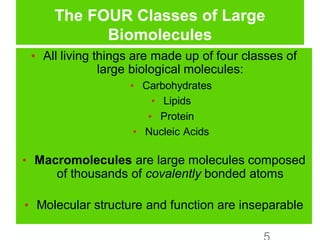 09_BioMolecules.pdf