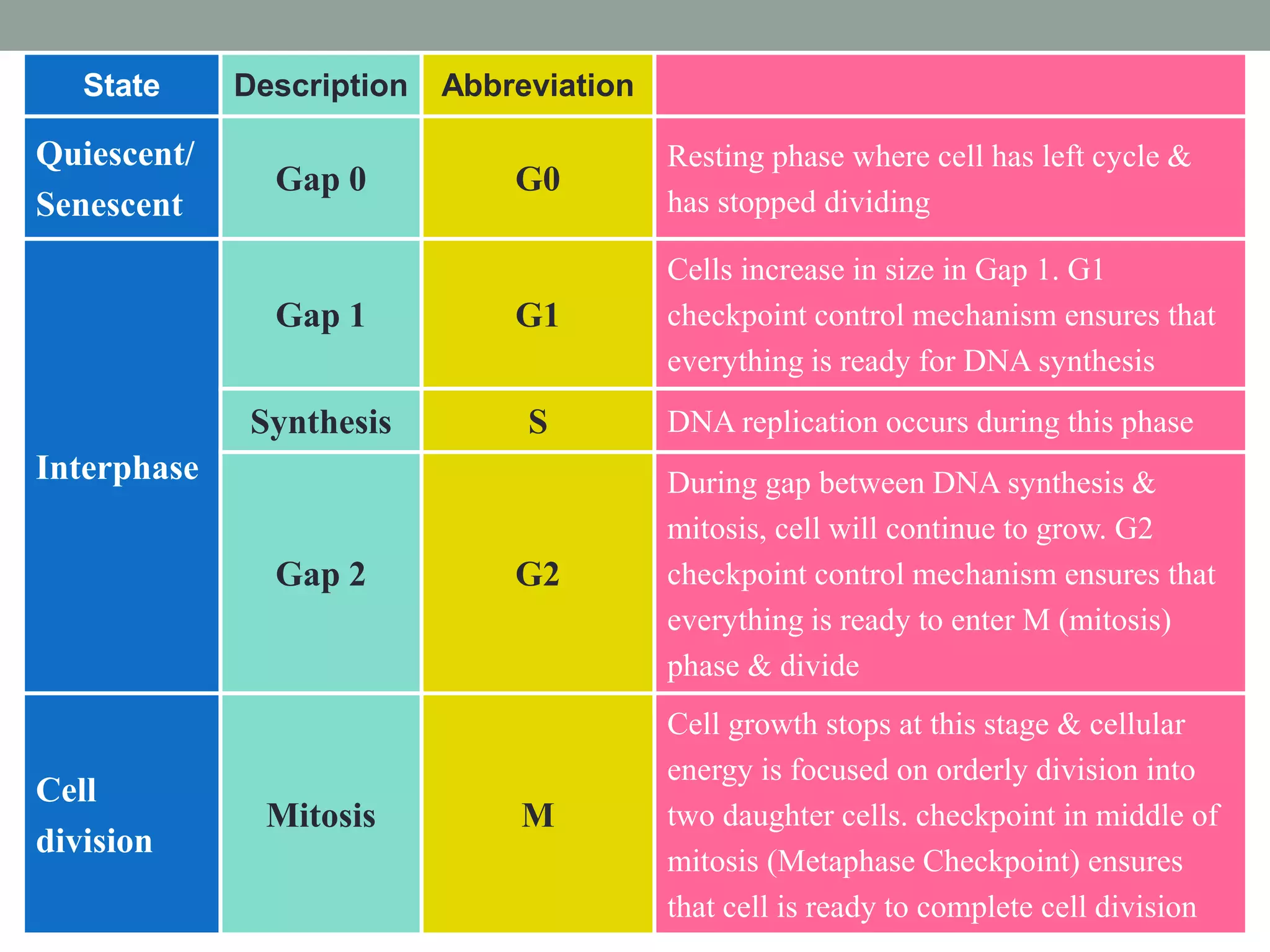 Cell cycle | PPTX