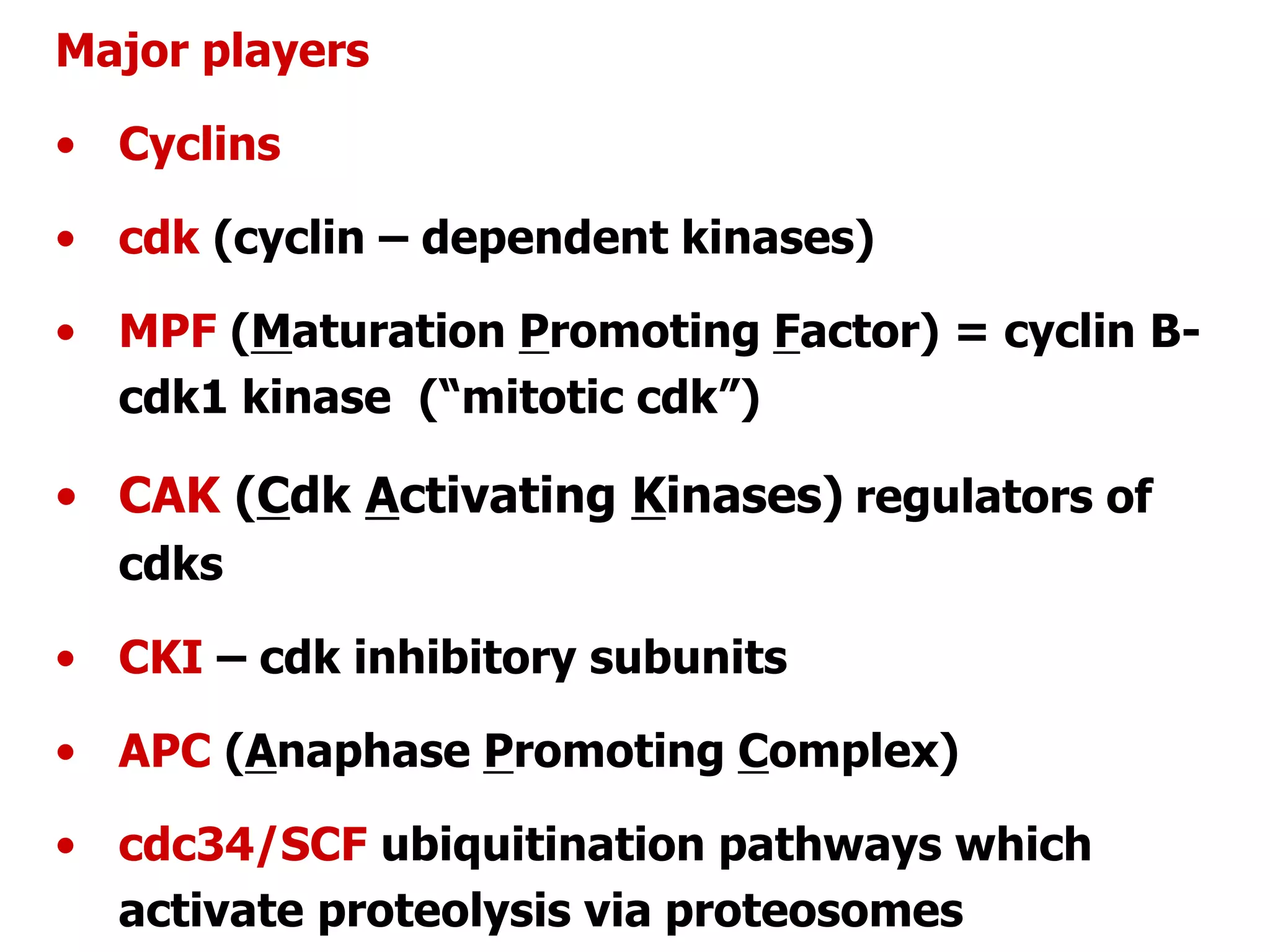 Cell cycle | PPTX