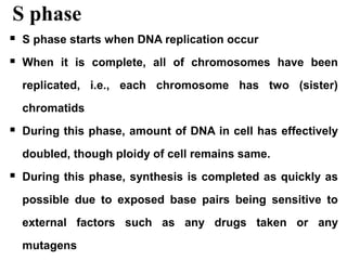 Cell cycle | PPTX