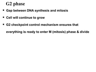 Cell cycle | PPTX