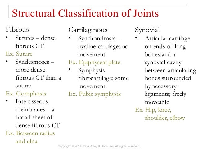 09 [chapter 9 joints]