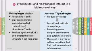 Basic Concept of Chronic Inflammation_PPT from Robbins Basic Pathology ...