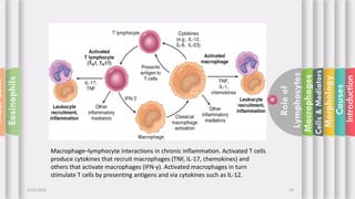Basic Concept of Chronic Inflammation_PPT from Robbins Basic Pathology ...