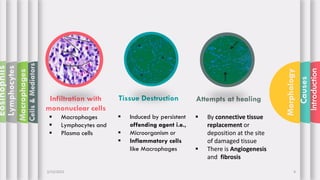 Basic Concept of Chronic Inflammation_PPT from Robbins Basic Pathology ...