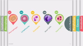 Basic Concept of Chronic Inflammation_PPT from Robbins Basic Pathology ...