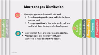 Basic Concept of Chronic Inflammation_PPT from Robbins Basic Pathology ...