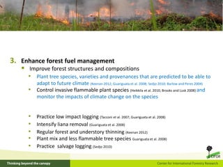 Forests, fire and climate change dynamics | PPTX