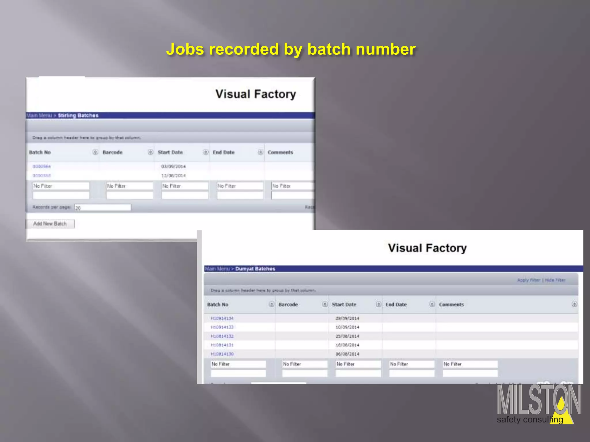 Visual Performance Management | PPTX