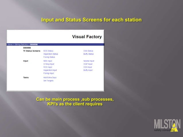 Visual Performance Management | PPT