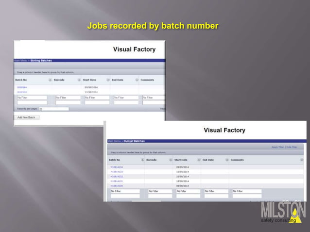 Visual Performance Management | PPT