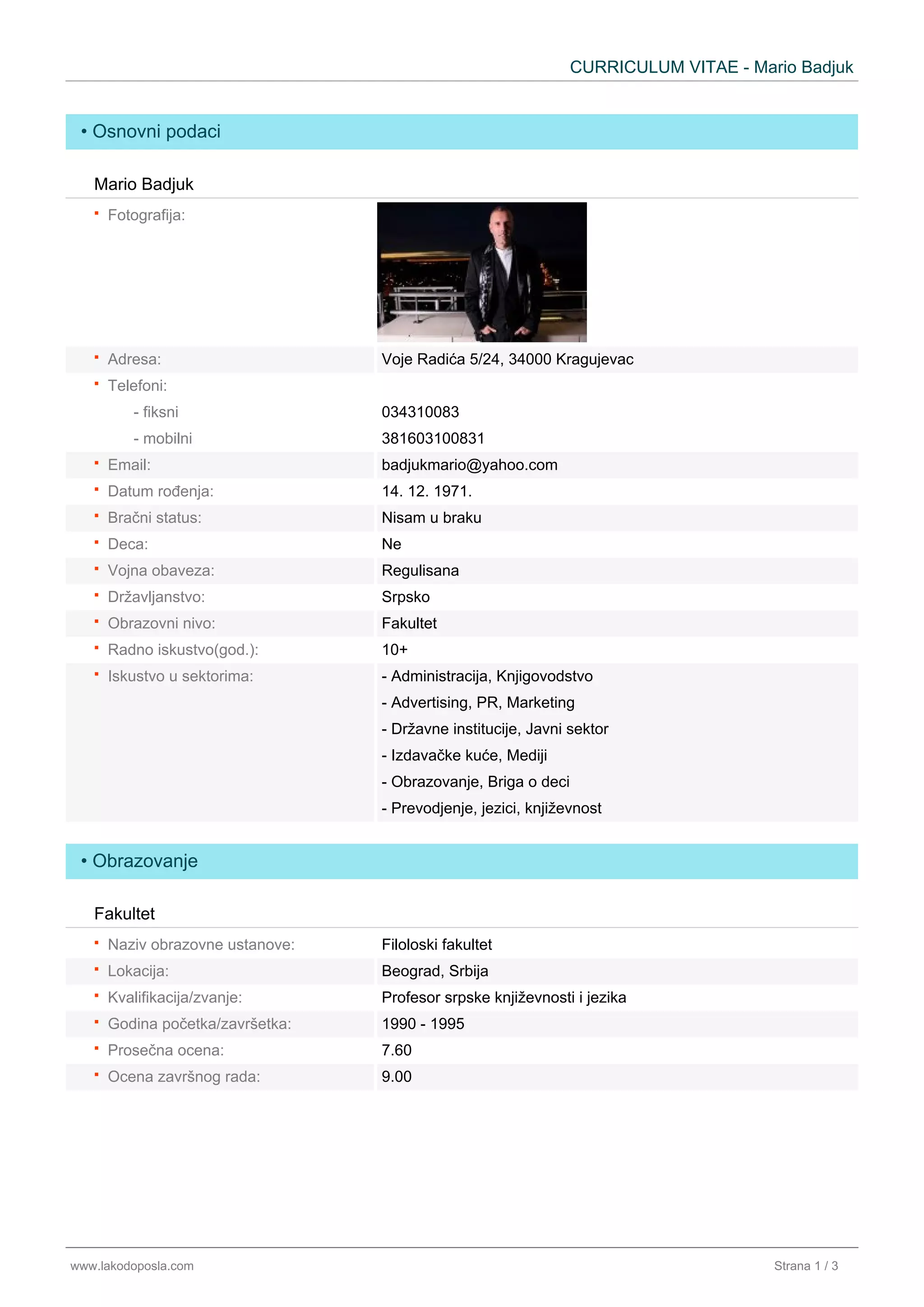 CV-Mario_Badjuk (1) | PDF