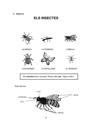 els animals | PDF