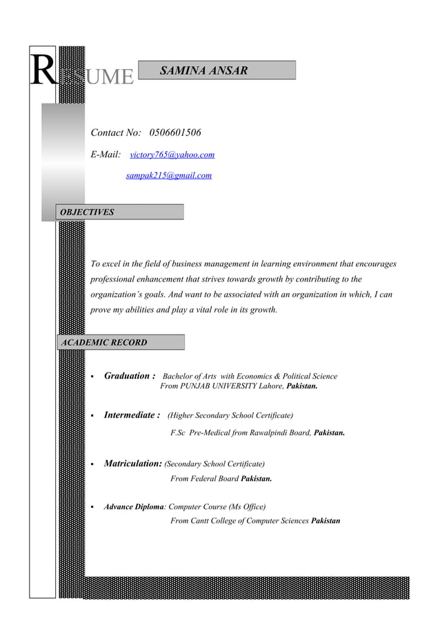 SAM CV 1 | DOC | Business | Business and Finance