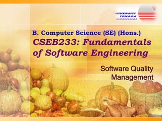 09 fse qualitymanagement | PPT