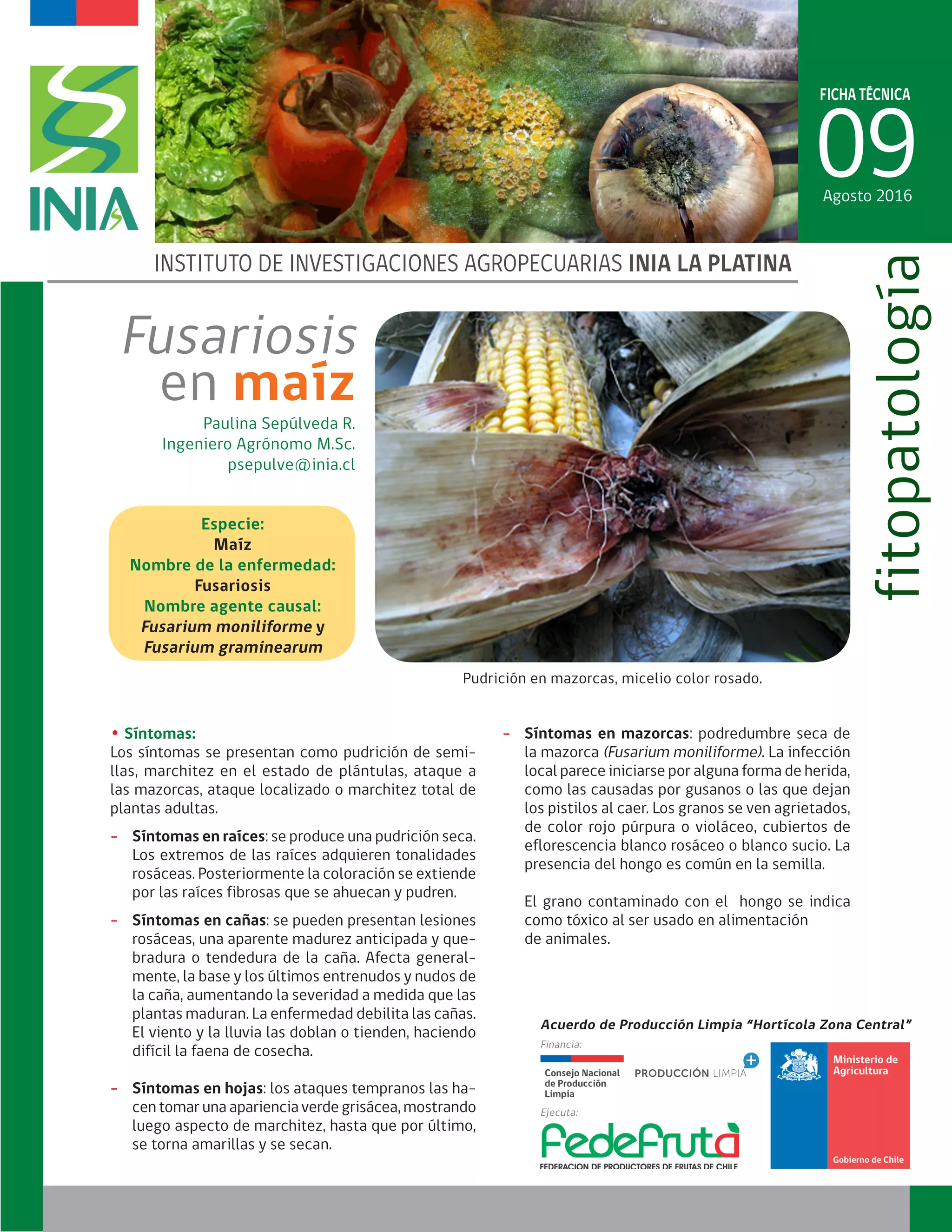 Fusariosis en maíz | PDF