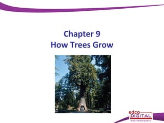 09 how trees grow | PPT