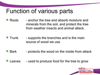 09 how trees grow | PPT