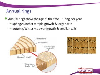09 how trees grow | PPT