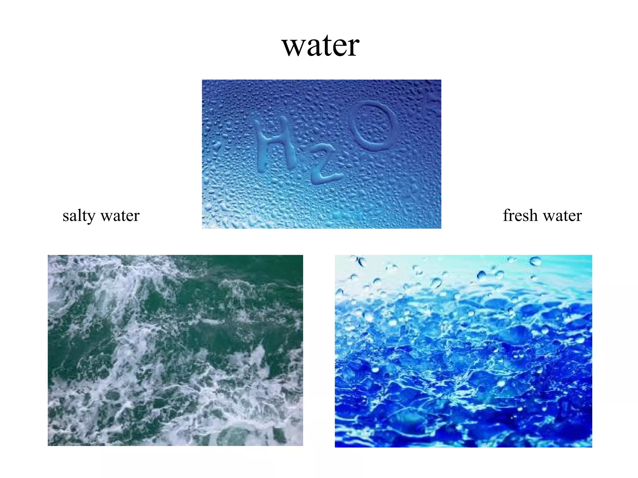 Hydrosphere: basic vocabulary | PPT