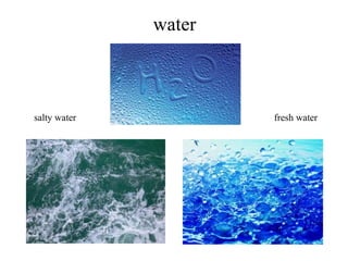 Hydrosphere: basic vocabulary | PPT