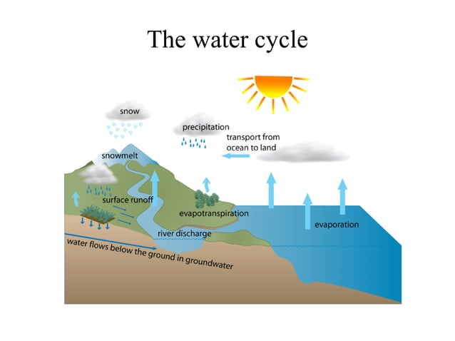 Hydrosphere: basic vocabulary | PPT