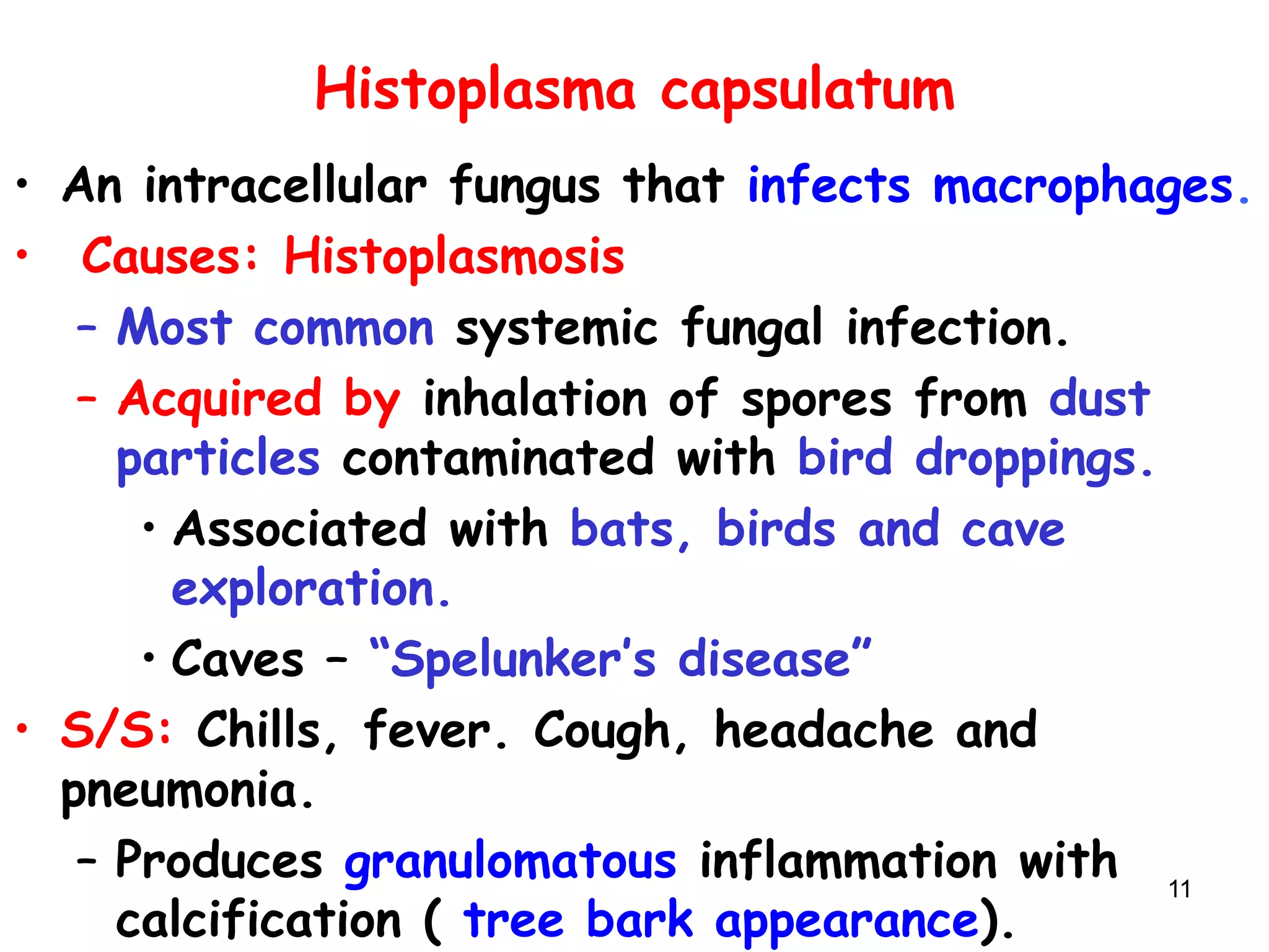 09 infectious disease Fungal infections | PPT