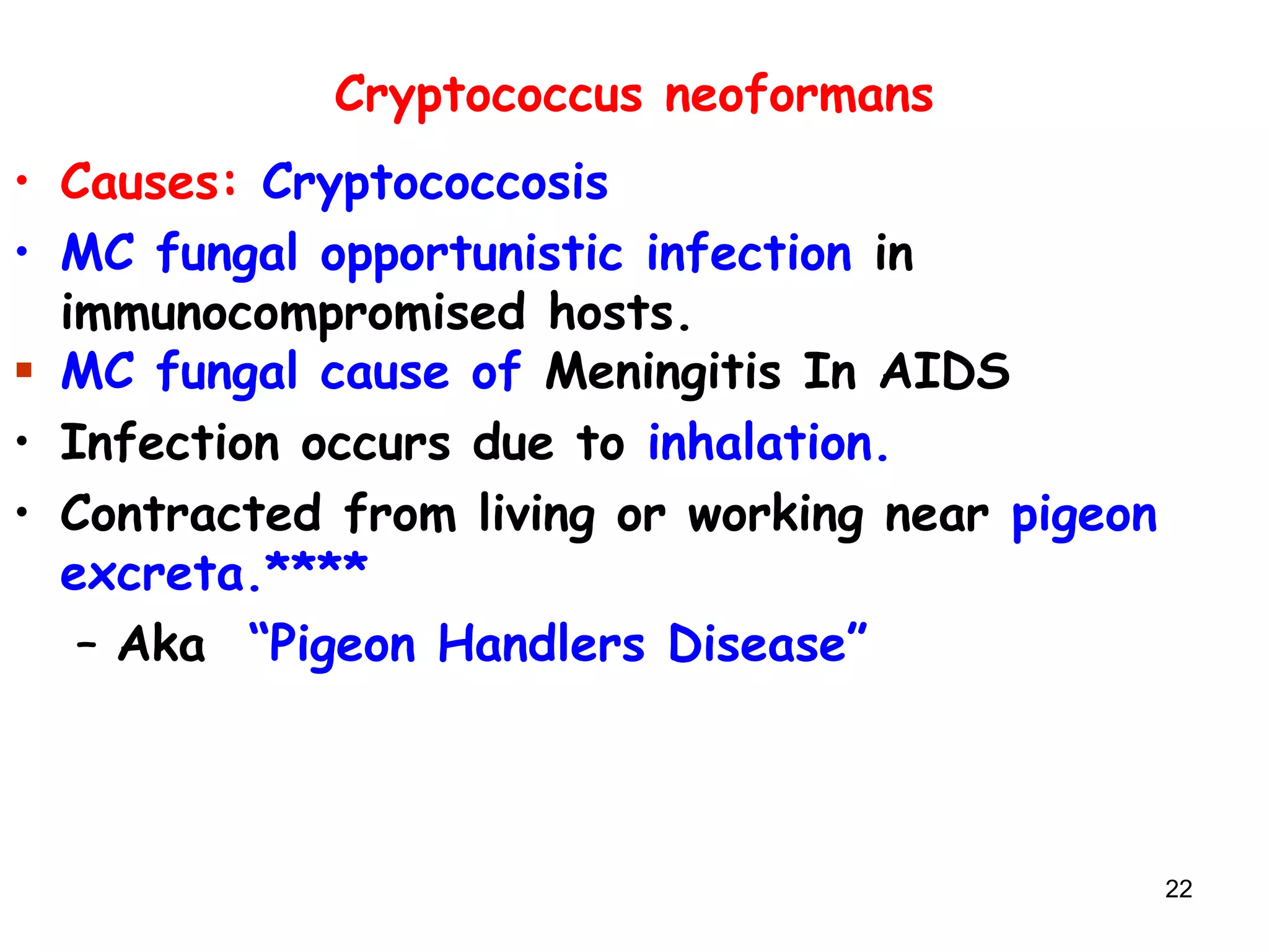 09 infectious disease Fungal infections | PPT
