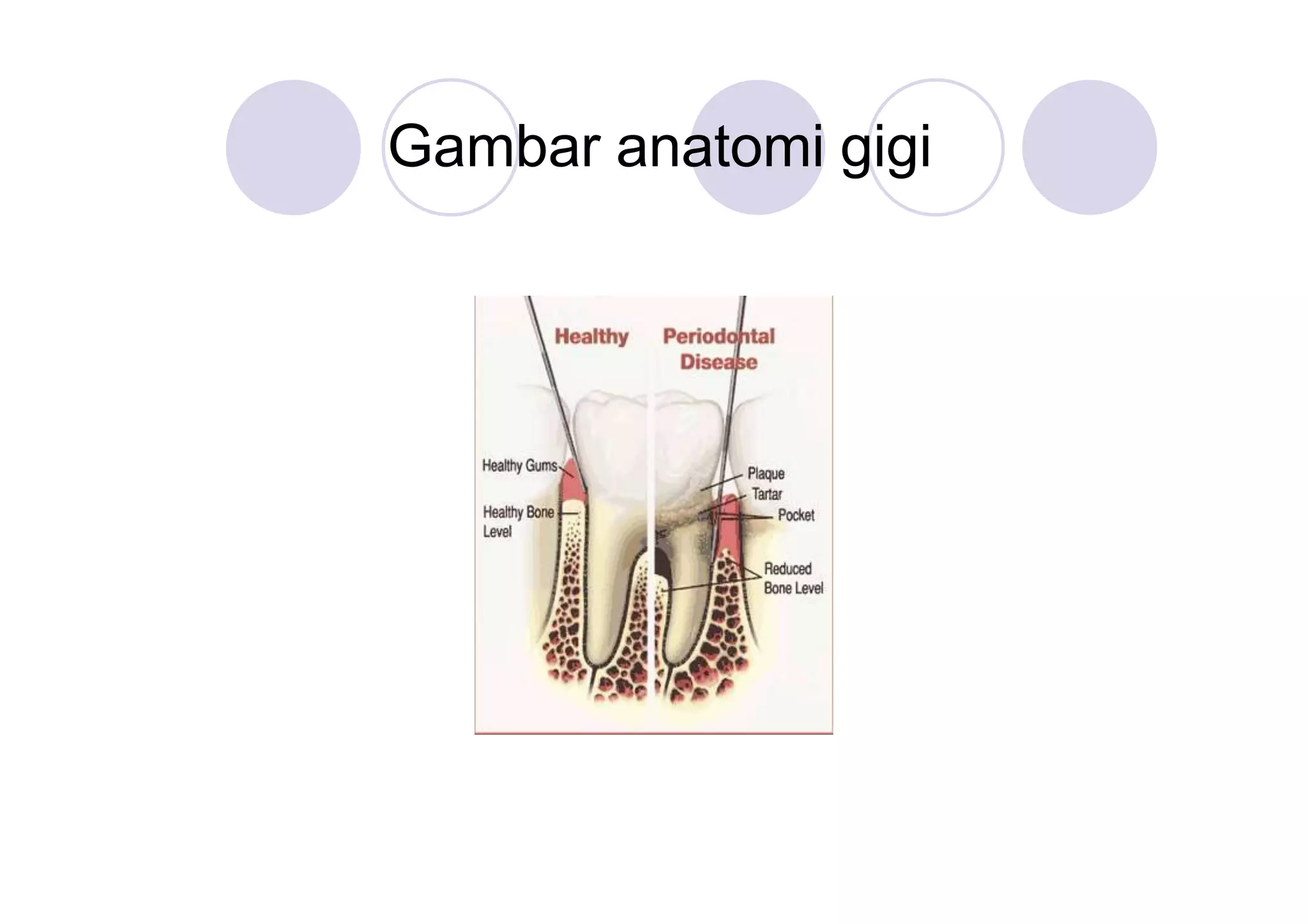 09 kesehatan gigi & mulut | PPT