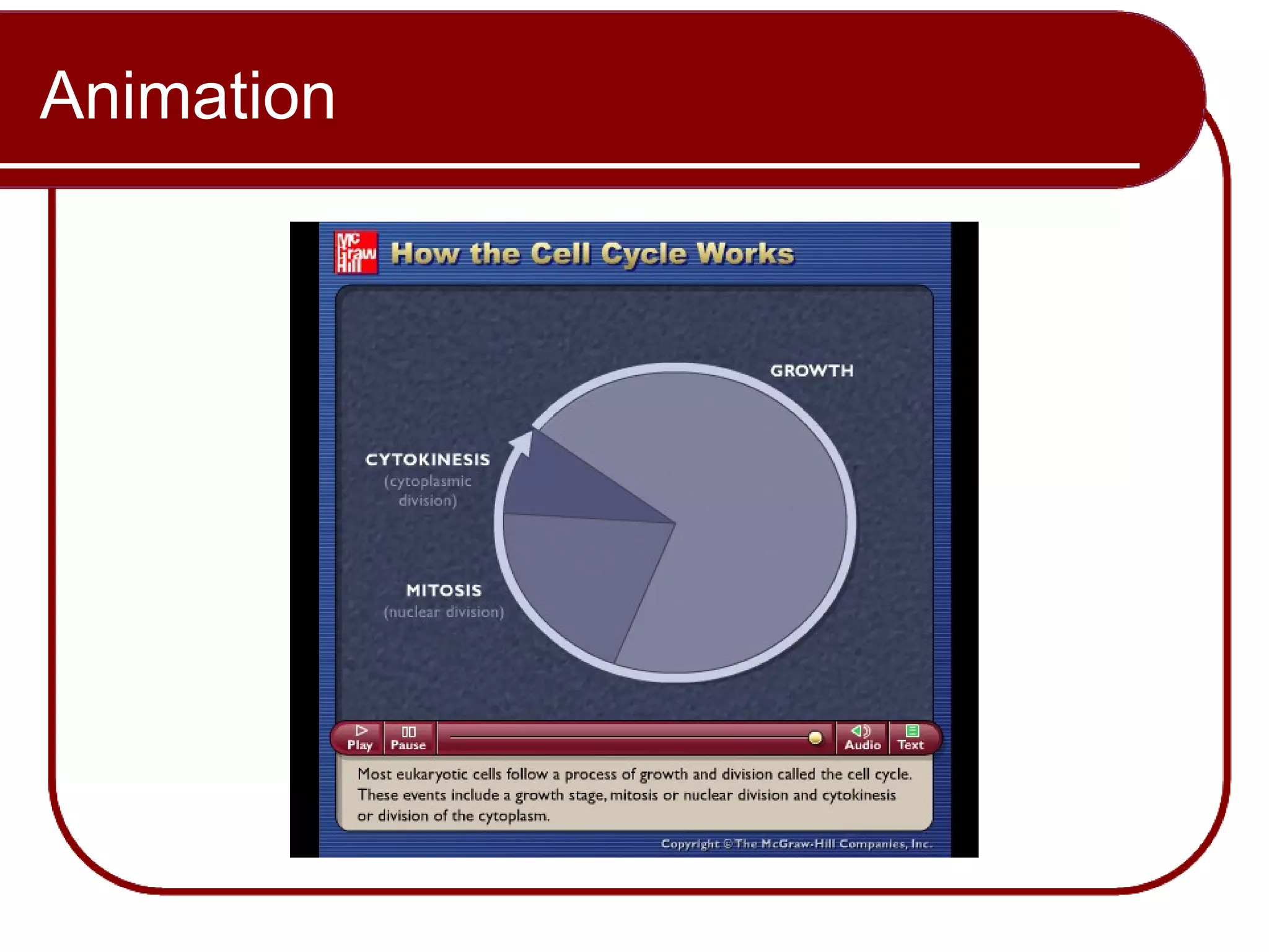 09 Lecture Animation Ppt | PPT
