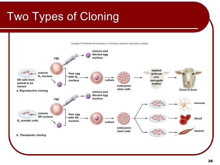 09 Lecture Animation Ppt