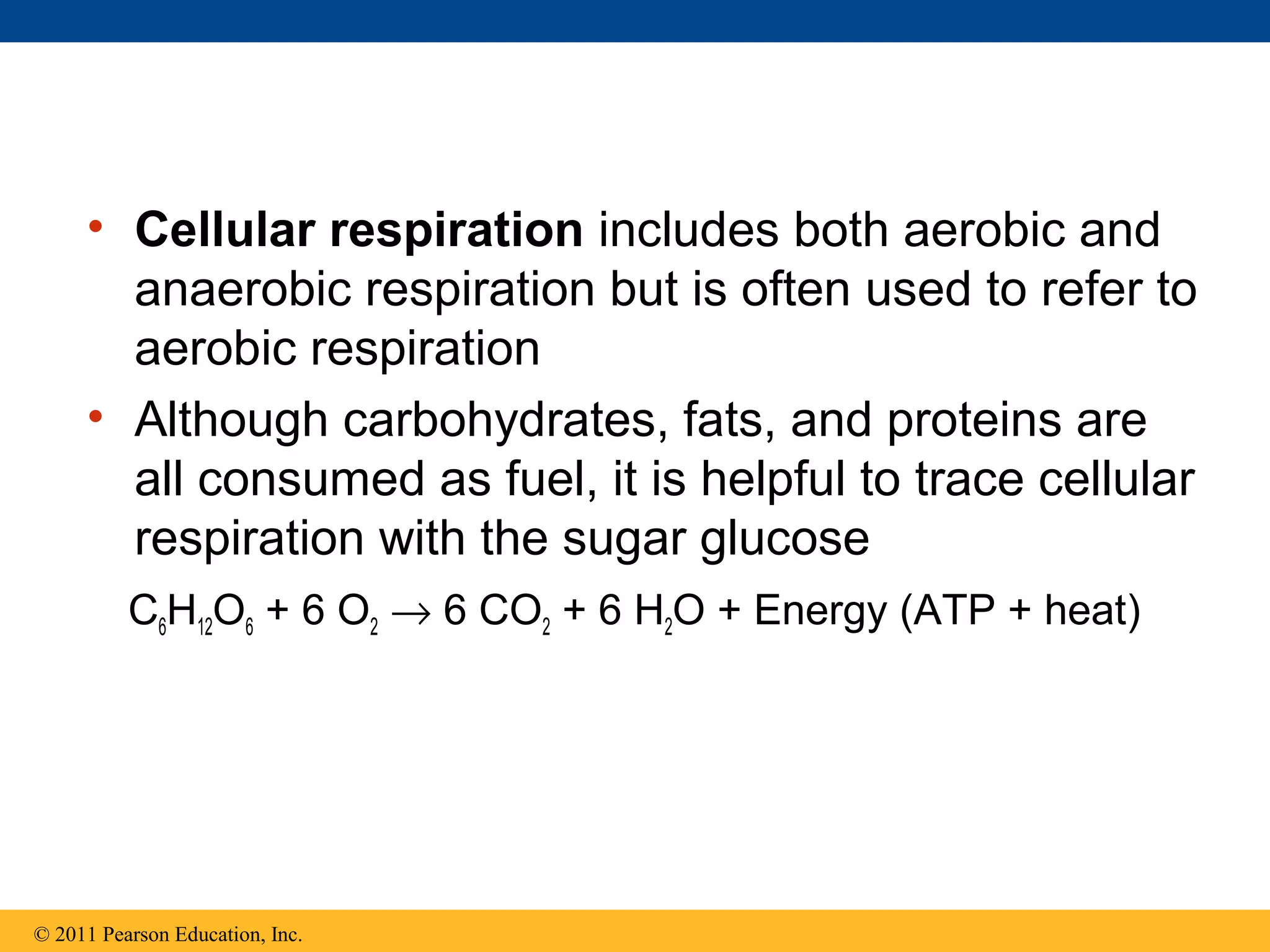 Ch 9: Cell Respiration and Fermentation | PPT