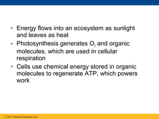 cellular respiration and fermentation | PPT