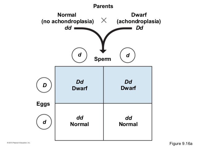 09 lecture presentation