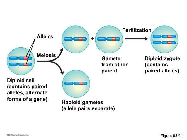 09 lecture presentation