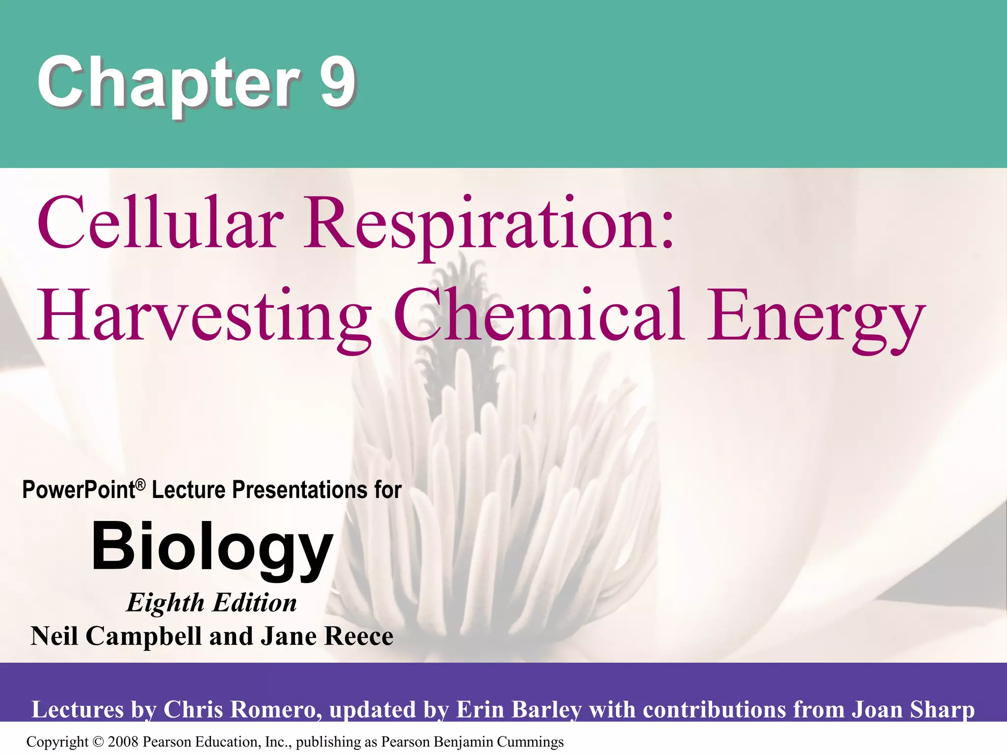 09_Lecture_Presentation.ppt