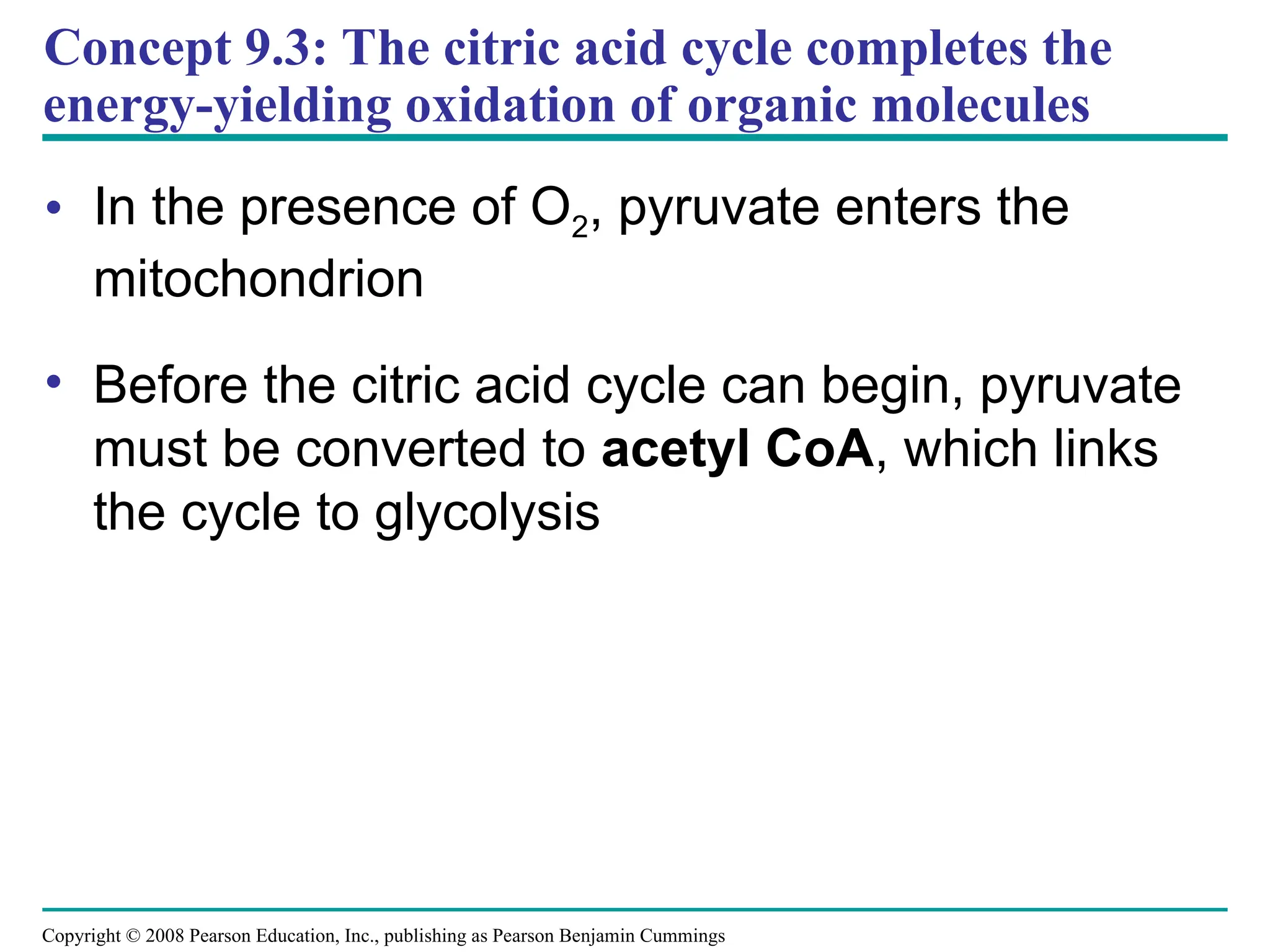 09_Lecture_Presentation-cellular-respiration.ppt