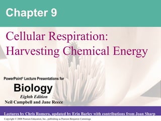 09_Lecture_Presentation-cellular-respiration.ppt