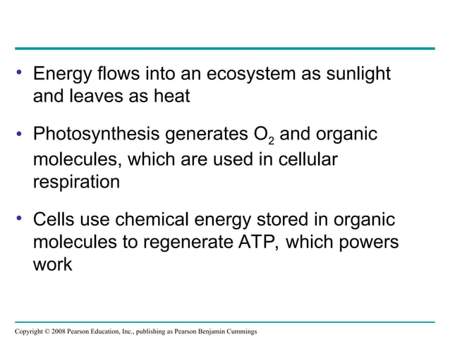 09_Lecture_Presentation-cellular-respiration.ppt