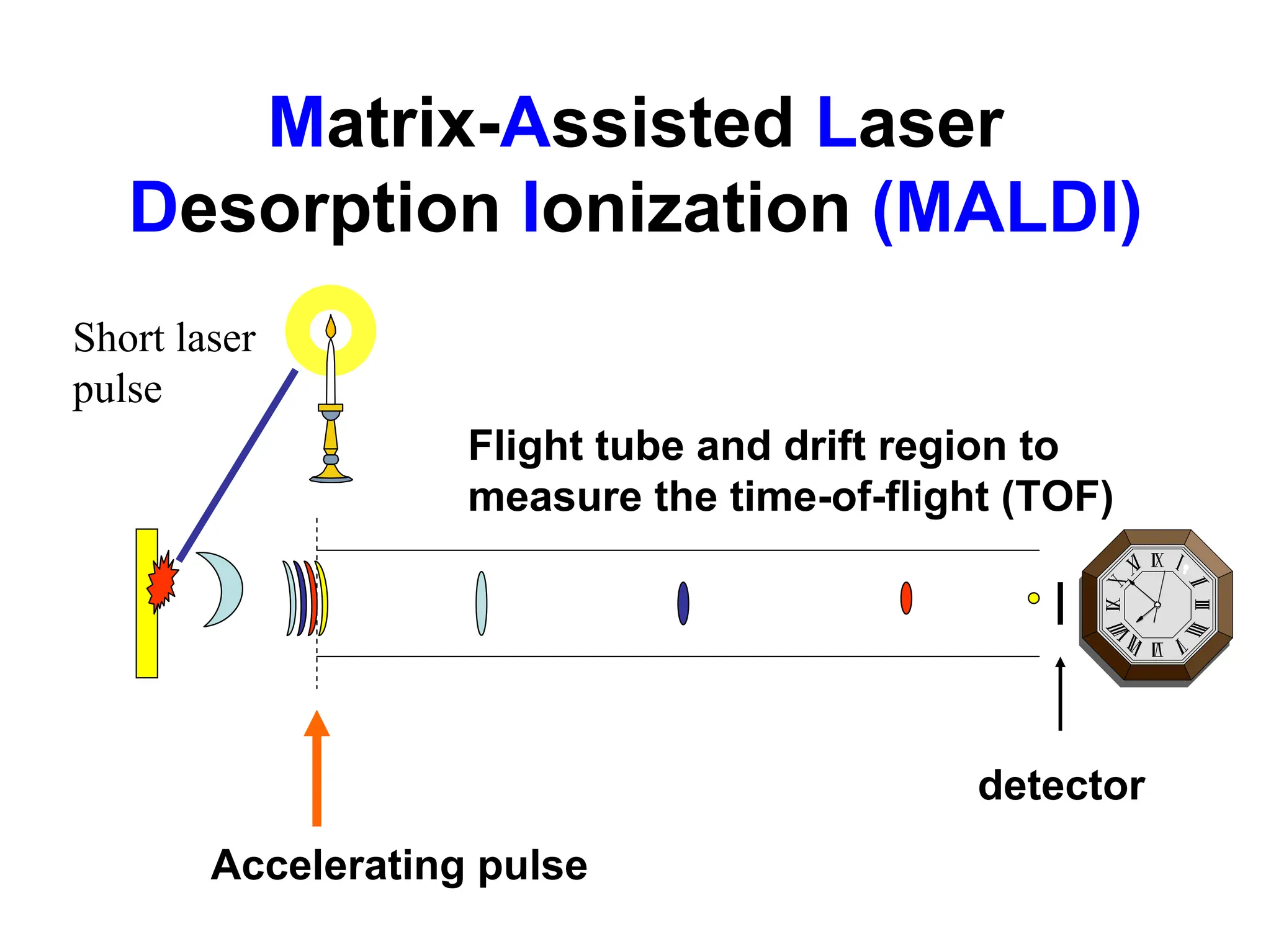 09 Maldi Tof Principal Of Mass Spectrometry Pdf Chemistry Science