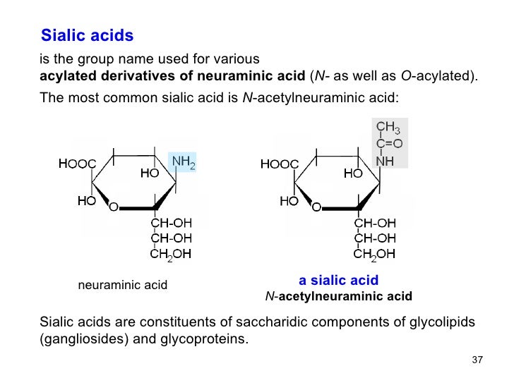 09 monosaccharides and_oligosaccharides